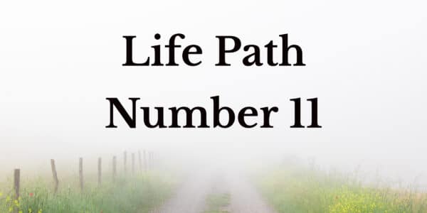 Life Path 11: The Wizard - truly divine