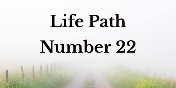 Life Path 22: The Manifester - truly divine