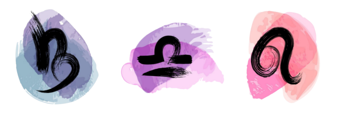 Capricorn Sun with Libra Moon and Leo Rising - truly divine