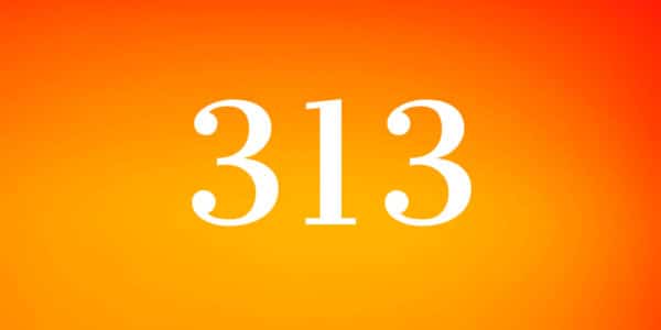 Angel Number 313 - Deeper Meaning & Significance - truly divine