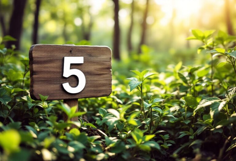 Uncover the Intriguing Life Path Number 5 Meaning Today!